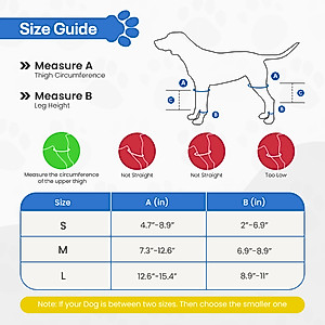 YSPet Premium Dog ACL Knee Brace for Torn ACL, CCL - Dog Knee Brace with Adjustable Straps -Universal for All Four Legs for Recovery and Stability