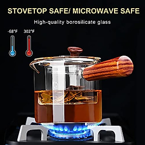 PARACITY Glass Teapot with Infuser, Japanese Tea pot Stovetop Safe, Clear Tea Kettle with Wooden Handle, Blooming and Loose Leaf Tea Maker for Camping, Travel 19 oz 550 ml