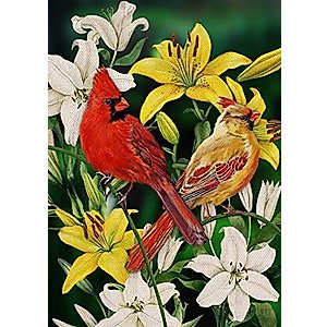 Furiaz Decorative Cardinal Flower Spring Small Garden Flag Double Sided, Red Yellow Birds Home Floral Lily Burlap Outside House Yard Decoration, Summer Green Seasonal Outdoor Décor Flag 12.5 x 18