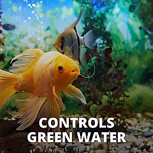 Tetra Algae Control Liquid, 3.38 ounces, Controls Algae in Aquariums
