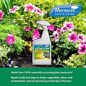 Monterey All Natural Snail & Slug Spray, for Organic Gardening, RTU - 31 oz