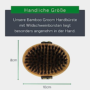 Alcott Bamboo Groom Palm Brush with Boar Bristles for Pets