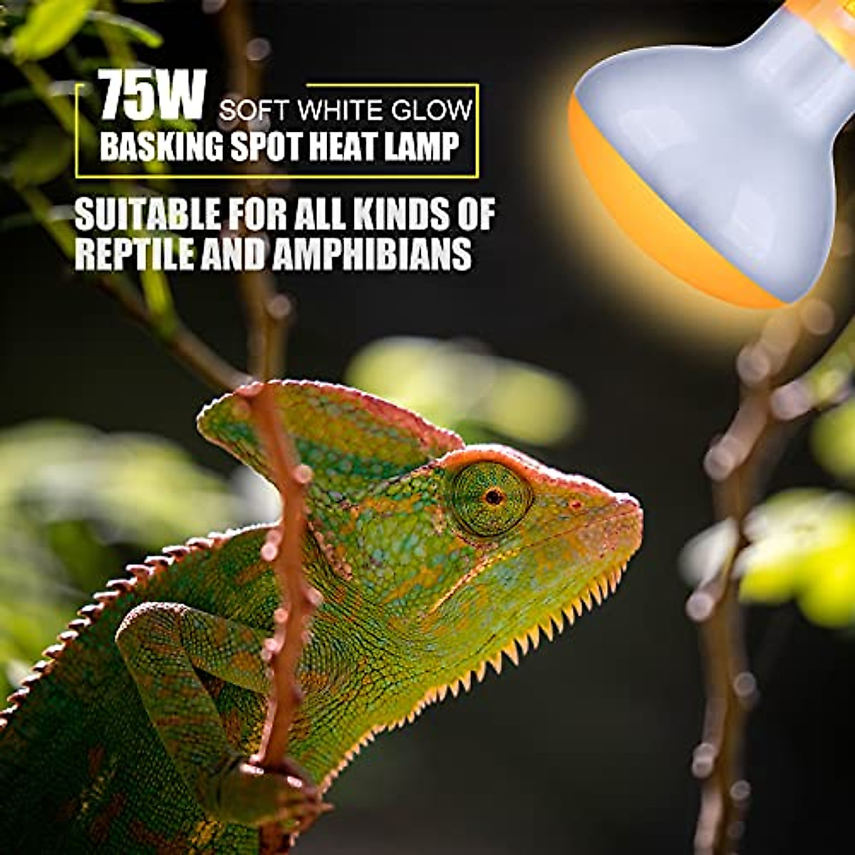Infrared Heat lamp Basking Spot Light Bulb，LEDESIGN 75 Watt White Heat Lamp Bulbs for Reptiles and Amphibian Use, 2 Packs (White)