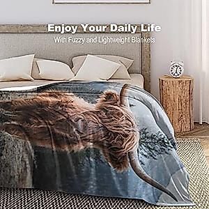 Cow Blanket Cool Highland Horned Baby Cow Cattle Enjoying The Sunrise Flannel Blanket,Ultra Soft Sofa Bed Blanket, Lightweight Travel Throw Blankets Novelty Gift Blanket Unisex,60"X50"