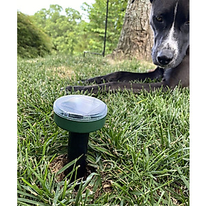 Sonic Spike Mole Gopher Vole Pest Repellent