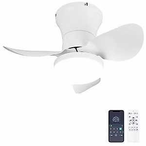 Ohniyou 21'' Small Flush Mount Ceiling Fan with Light, Remote & APP Control, DC Motor, Dimmable, 3 Color Light