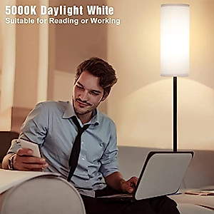 Ambimall Floor Lamps for Living Room, Modern Floor Lamp with Remote Control and Stepless Dimmable Colors Temperature & Brightness (9W Bulb Included, Gray Lampshade)