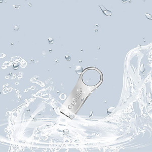 GARRULAX USB Flash Drive, 8GB / 16GB / 32GB / 64GB USB 2.0 Metal USB Memory Stick Date Storage Pendrive Thumb Drives (16GB, Silver)