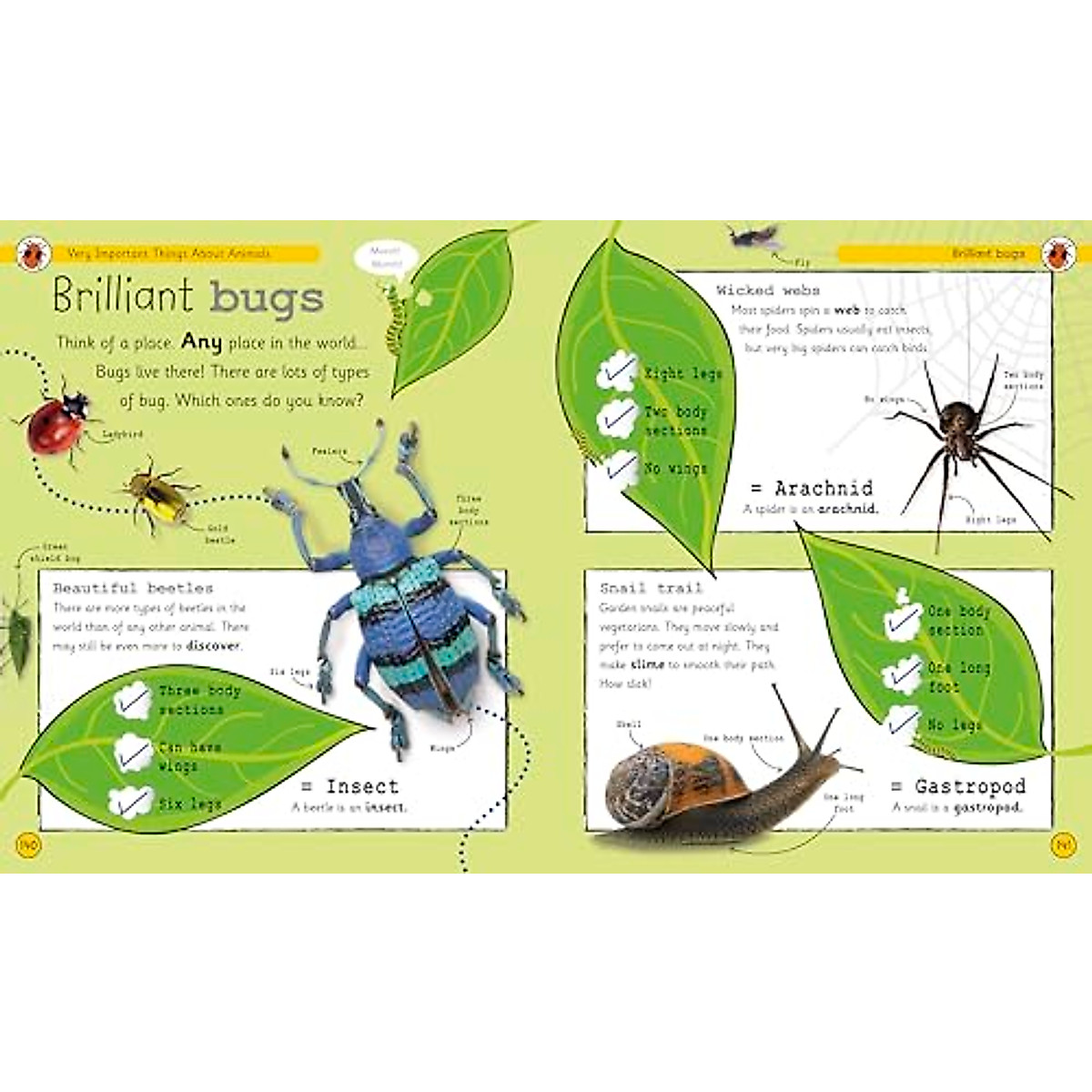 My Encyclopedia of Very Important Things: For Little Learners Who Want to Know Everything (My Very Important Encyclopedias)