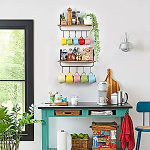 Olakee Floating Wall Shelves for Kitchen Bathroom Coffee Nook with 10 Adjustable Hooks for Mugs Cooking Utensils or Towel Rustic Storage Shelves Set of 2/17x5.9 inch (Carbonized Black)