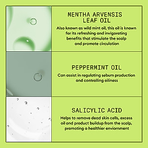 Nioxin System 2 Shampoo & Conditioner Prepack, Natural Treated Hair with Progressed Thinning, Pumps Included, 33.8 fl oz (Packaging May Vary)