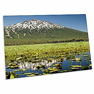 3dRose Lilly Pads, Marsh at Dutchman Flats, Near Sparks Lake,... - Desk Pad Place Mats (dpd-332029-1)