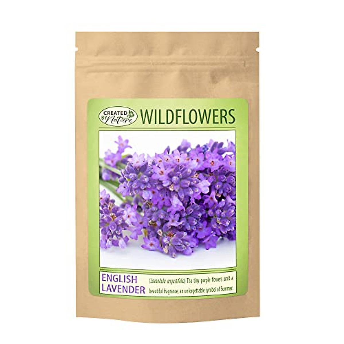English Lavender Flower Seeds for Planting - Over 3,000 Premium Seeds - Attracts Pollinators - Non GMO