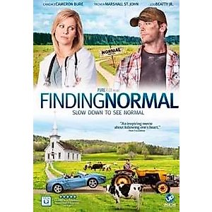 DVD-Finding Normal