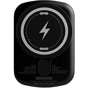 Casely Power Pod | MagSafe Compatible Battery Pack | Into The Wild | Black Leopard Power Pod