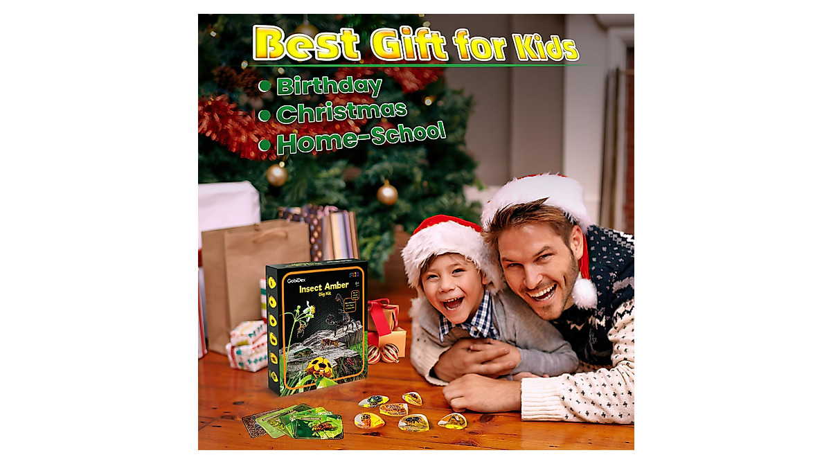 Amber Dig Kit for Kids Age 6+ | STEM Excavation & Bug Collection