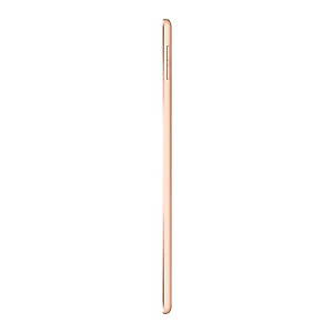 2019 Apple iPad Mini (Wi-Fi, 64GB) - Gold