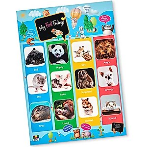 Dealing in Feeling Chart -Autism Learning Materials That can be Used with The Zones or as a Kids Poster for Emotional Regulation-Feelings Check-in Emotions Poster