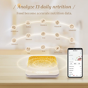 Lifehood Digital Food Scale with Tare Function - Bluetooth Kitchen Scale Measures (G/Fl.Oz./Lb:Oz/Ml), Waterproof Baking Scale with LED Display - Golden Moment