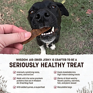 Earth Animal Wisdom Air-Dried Jerky from The Land Recipe | Dog Treats | Dog Snacks | Premium Natural Red Meat Jerky Strips | 4 oz | Made in The USA (Pack of 1)
