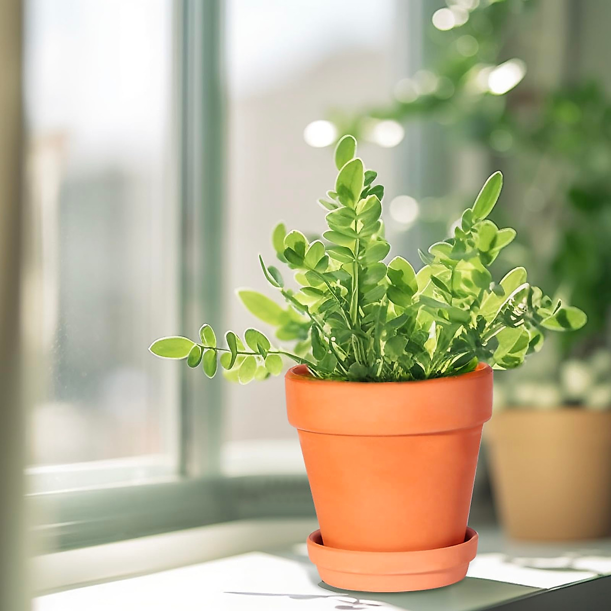 Kosrtuny 3 Inch Terracotta Pots with Saucer-20 Pack Succulent Cactus Plant Pots with Drainage Hole, Great for Plants Garden Windowsill Indoor & Outdoor Wedding Favors Gifts