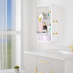 Hokyzam Bathroom Shelves Bathroom Cabinet Wall Mounted, Wall Floating Shelves Organizer Transparent Multi-Function Floating Rack for Bathroom Bedroom Living Room Halloween Decorations Shelf