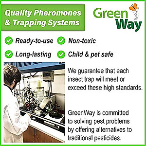 GreenWay Freezer Treatment Bag Kit, Protect Your Clothes with a Set of 5 Reusable Bags, get rid of pests and Odors with an eco-Friendly Alternative DIY Solution