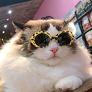 REBABA Cat Sunglasses Cool Plastic Dog Sunglasses Pet Cute and Funny Sunglasses Dog Cat Cosplay Party Costume Photo Props(White)