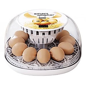 Egg Incubators, 12 Eggs Chicken Incubators Farm Poultry Hatcher Machine, Automatic Egg Turning Temperature Control for Hatching Eggs Chicken Duck Goose Quail Parrot Turkey
