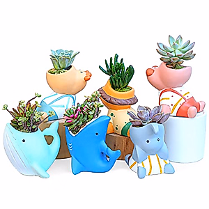 Succulent Pots - Small Succulent Planters Pots with Drainage Set of 6, Cute Cartoon Animal Planter Pots Ceramic Pots for Indoor Cactus Plants Tiny Flower Bonsai Planter Container for Home Garden
