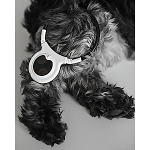 Assisi Loop 2.0 Manual tPEMF Device for Dogs, Cats, and Horses (10 CM)