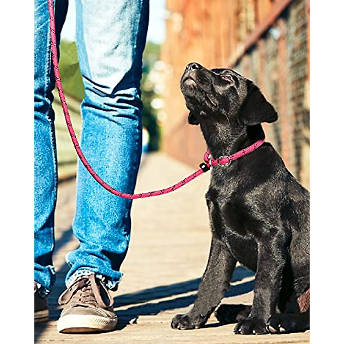 TagME Slip Leads for Dogs, 6 FT Heavy Duty Dog Leash with Padded Handle, Strong Rope No Pull Pet Training Leash for Small Dogs,Hot Pink