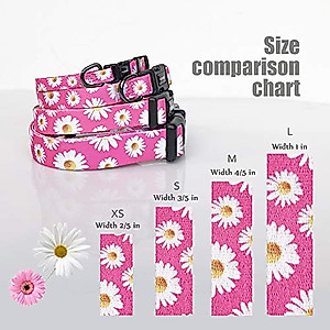QQPETS Adjustable Soft Dog Collar: Print Flower Pink Multicolor Cute Patterns for XS Small Medium Large Pet Girl Boy Puppy Walking Running Training (M, Small Daisies)