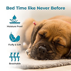 Bowsers Aspen Chenille Donut Bed for Dogs - Calming Dog Bed with Removable Tufted Cushion and Overstuffed Bolster Ring - with High Memory Polyester Fiber and Upholstery Grade Fabric - Large