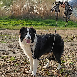 NTR 15FT Training Leash for Dogs, Nylon Rope Dog Leash with Swivel Lockable Hook and Comfortable Padded Handle, Cat Puppy Leash Lead for Small Medium Large Dogs Training, Playing, Camping, or Backyard