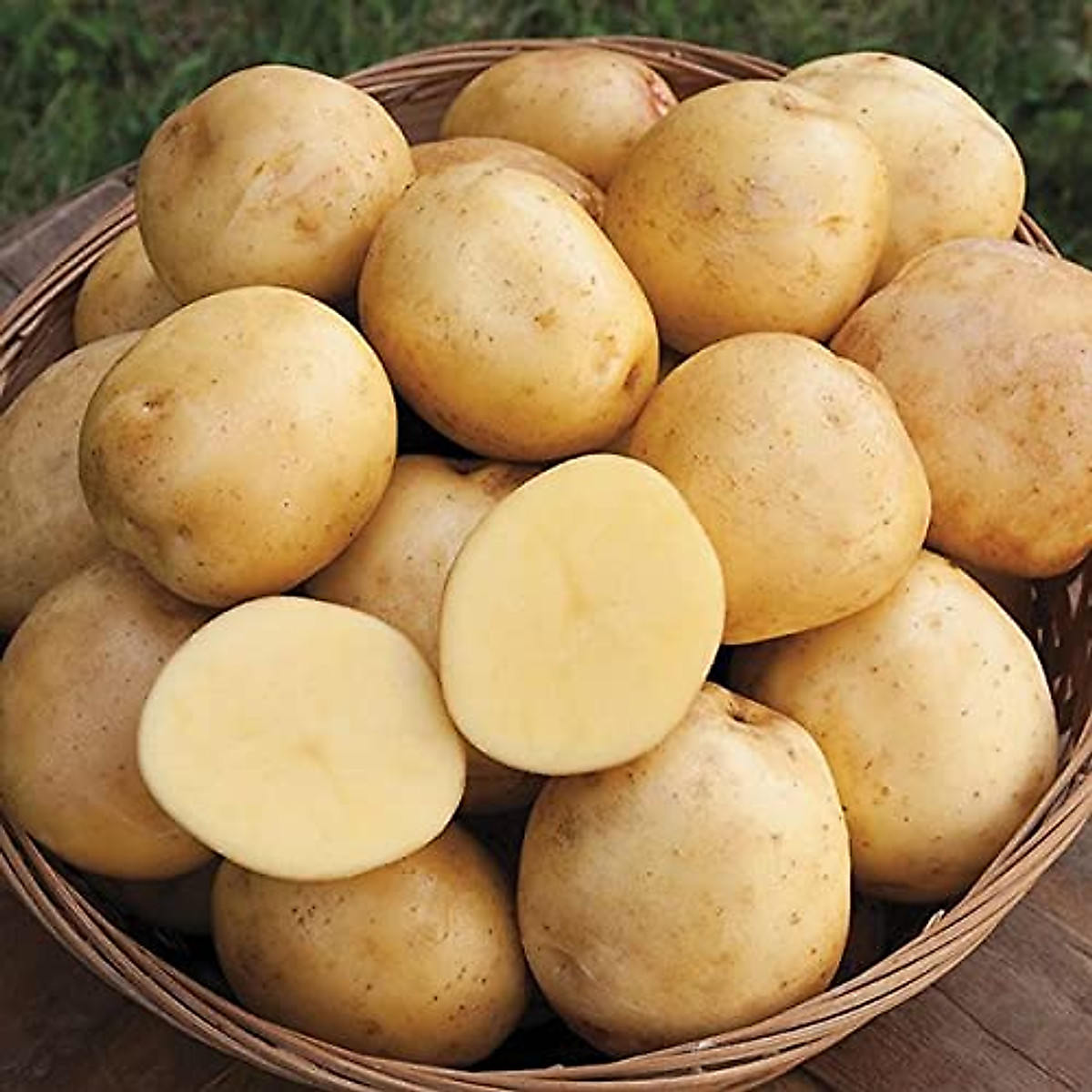 60 Yukon Gold Potato Seeds, Heirloom Long Storage Planting Ornaments Garden Perennials Simple to Grow Pots Gift
