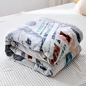 USA 100 Dollar Blanket, Traveling, Hiking, Camping, Full Queen, TV, Cabin, Couch, Bed Throw. 75" Wx90 H 3.5LBS, Reversable, Fuzzy Mink Cozy Warm Home Fashion