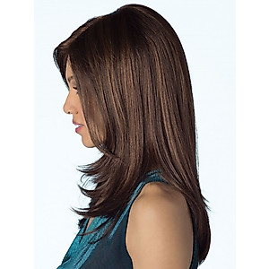 Bundle - 4 items: Brandi Wig by Amore, Christy's Wigs Q & A Booklet, BeautiMark Synthetic Shampoo & Wide Tooth Comb - Color: MARBLE BROWN-LR