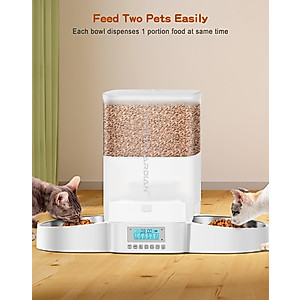 HoneyGuaridan Automatic Cat Feeder for Two Cats,3.5L Cat Food Dispenser with Stainless Steel Bowl,Timed Cat Feeder Programmable 1-6 Meals Control, Dual Power Supply,Desiccant Bag,10s Meal Call Whit