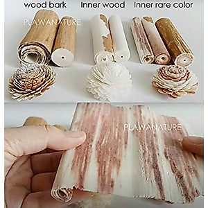 10 Rare Natural Pink Peony 1.5" Sola Flower Reed Diffuser for Home Fragrance Oil by Plawanature.