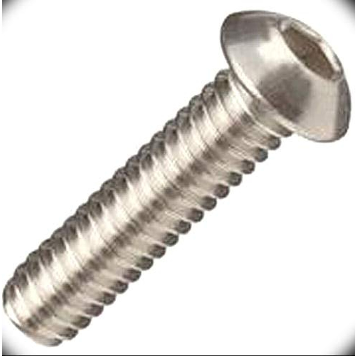 Stainless Steel Button Head Socket Cap Screw Kit Inch 10-24 x 1-1/2 - (100 each)