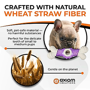 AXIOM CREATIONS Interactive Dog Toy for Small Breeds - 6x2” Bone Shaped Puppy Chew Toys for Teething - Pet Safe Wheat Straw Fiber Material with Treat Holder (Purple)