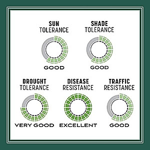 Pennington Smart Seed Sun and Shade Grass Mix 20 lb, Black Label