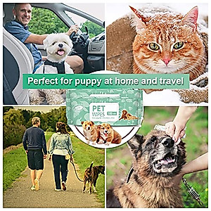 Air Jungles Pet Grooming Wipes for Dogs and Cats 100 Count, 8" x 10" Extra Large Plant-Based Earth-Friendly Hypoallergenic Deodorizing Pet Wipes for Paws Body Face Ear Butt