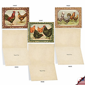 The Best Card Company - Boxed Set of 10 Bird Thank You Notecards with Envelopes 4 x 5.12 inch, Feathered Animal Gratitude - Card-A-Doodle-Do M2351TYG