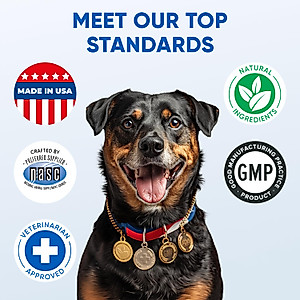 Omega 3 Fish Oil for Dogs Chews - Dog Skin & Coat Supplement for Itch Relief, Hot Spot Treatment - USA Product - Salmon Oil for Dogs Itching Skin Relief, Shedding, Hip & Joint Health - 120 Soft Treats