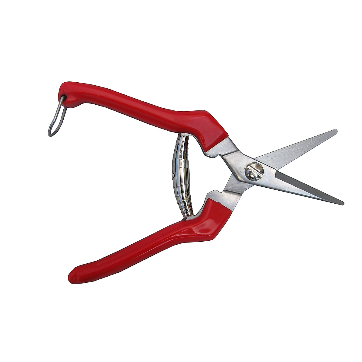 TABOR TOOLS K77A Straight Pruning Shears with Stainless Steel Blades, Florist Scissors, Multi-Tasking Garden Snips for Arranging Flowers, Trimming Plants, Harvesting Herbs, Fruits or Vegetables.