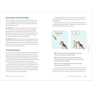 Puppy Training in 7 Easy Steps: Everything You Need to Know to Raise the Perfect Dog