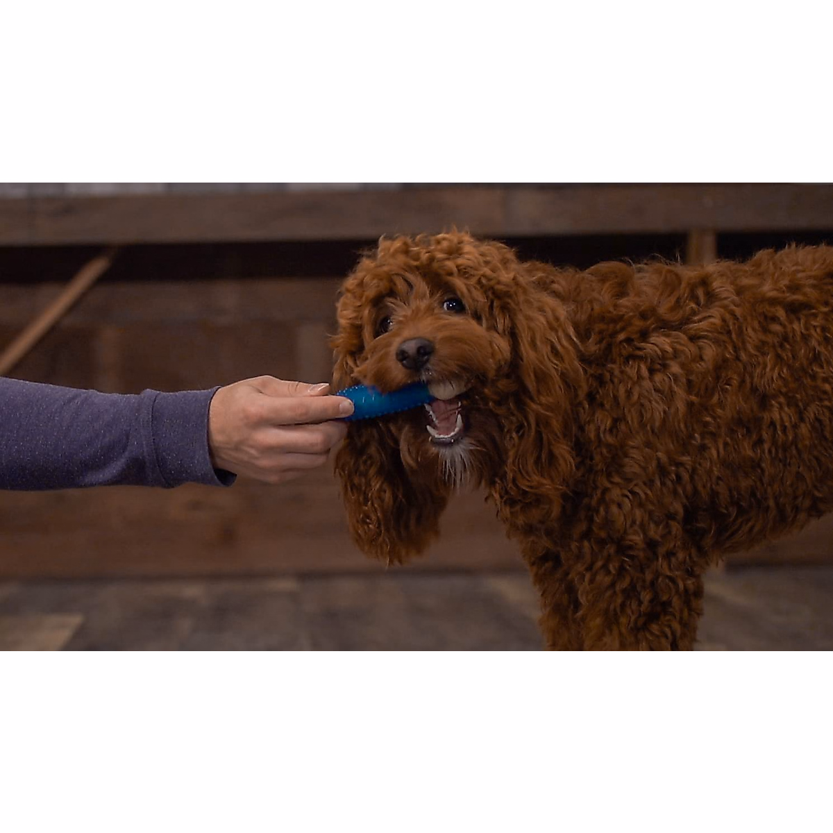 HERO | Bonetics Dental Bone | Dog Bones | Puppy Bones | Designed for Medium Dogs Up to 45 lbs (Mint Flavor)