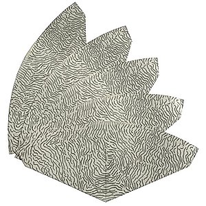 Mergence Glue Boards (5)